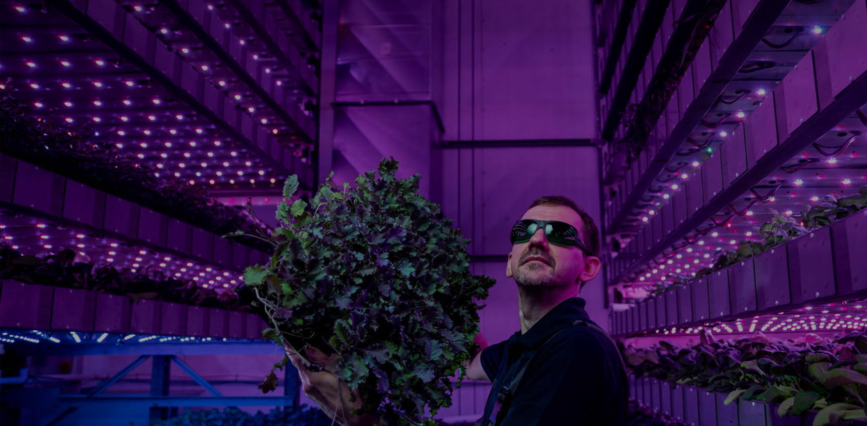 Raising the profile of KTP in the innovation space - Bulletin Academic